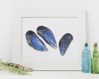 Bivalve Shell Drawing, Botanical Art Print - Etsy