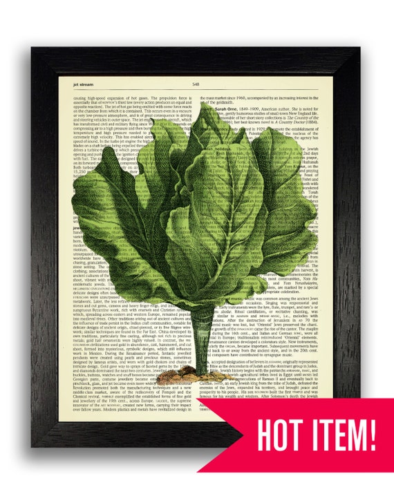 Vintage Style Artwork EB5 Old Illustration Poster Lettuce Kitchen Print ...