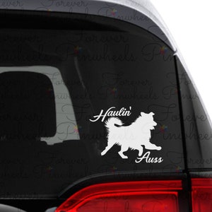 Haulin Auss W Tail Decal - Hauling Auss - Australian Shepherd - Aussie ...