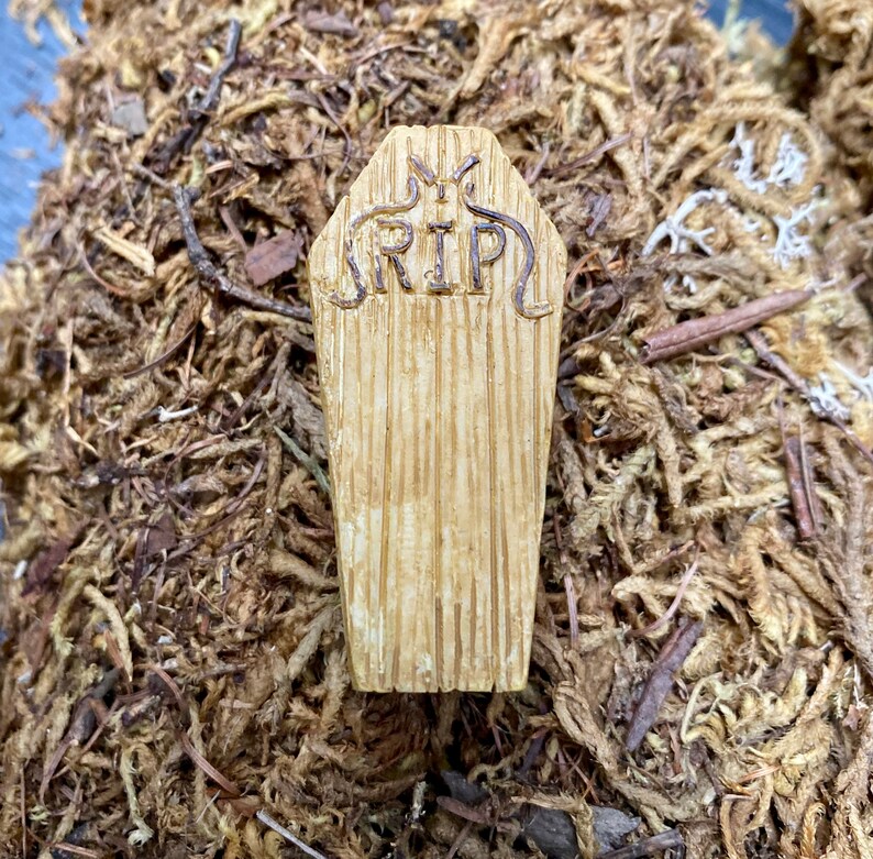 Miniature Halloween Caskets the Perfect Spooky Coffin for - Etsy