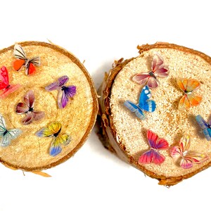 Tiny Micro Miniature Butterflies Set of 12 Perfect for Fairy Gardens ...