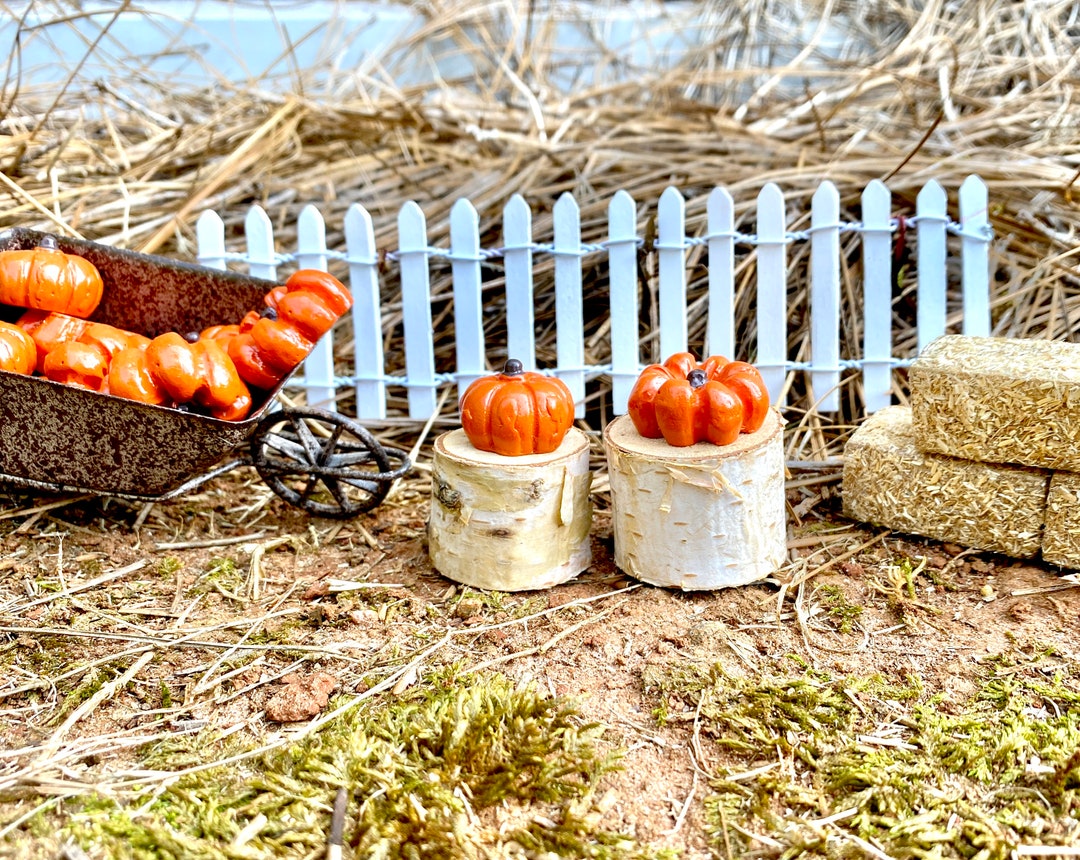 Miniature Resin Pumpkins Set of 2 Perfect for Fairy Gardens, Small ...