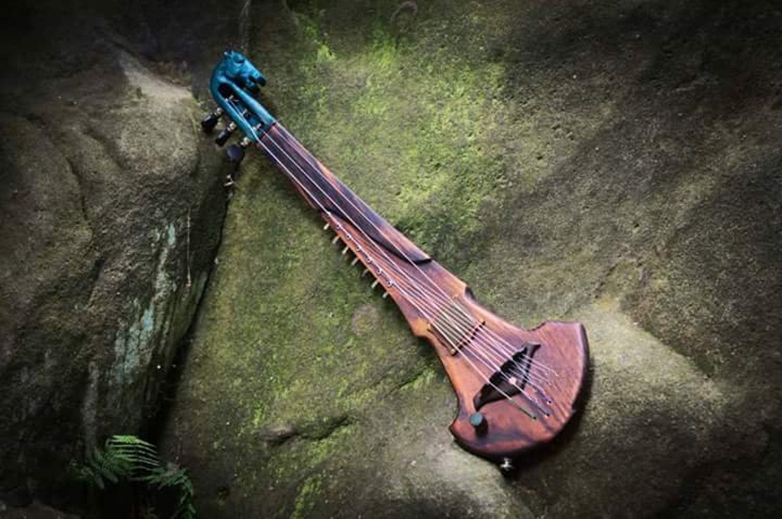 Electric Tarpan Fretless Viola With Sympathetic Strings. - Etsy