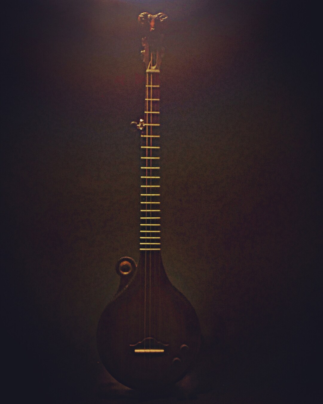 Electric Banjo. Custom Handcrafted Banjo. - Etsy