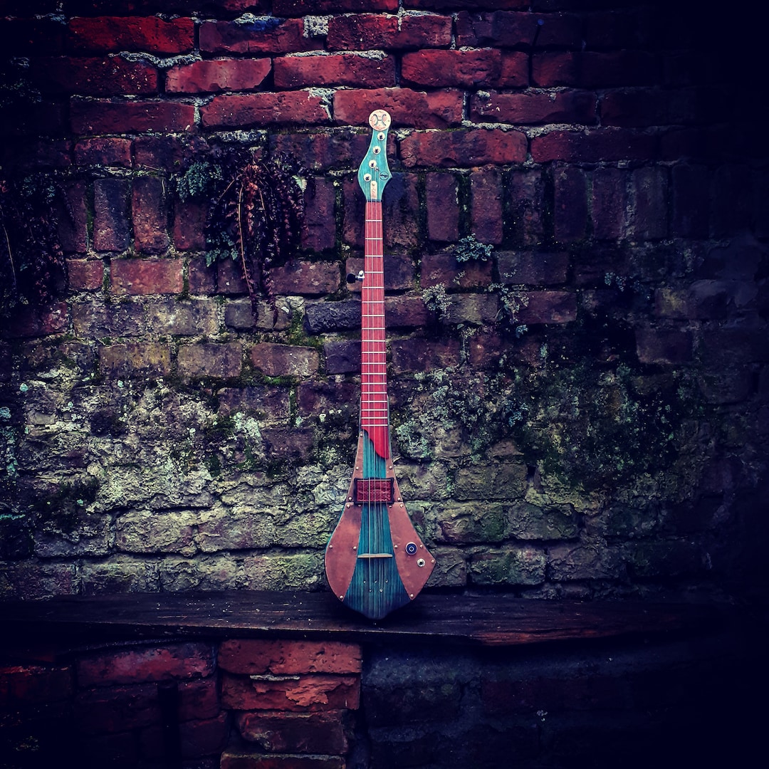 Electric Banjo. Solid Body 5 String Banjo With a Humbucker Pickup. - Etsy