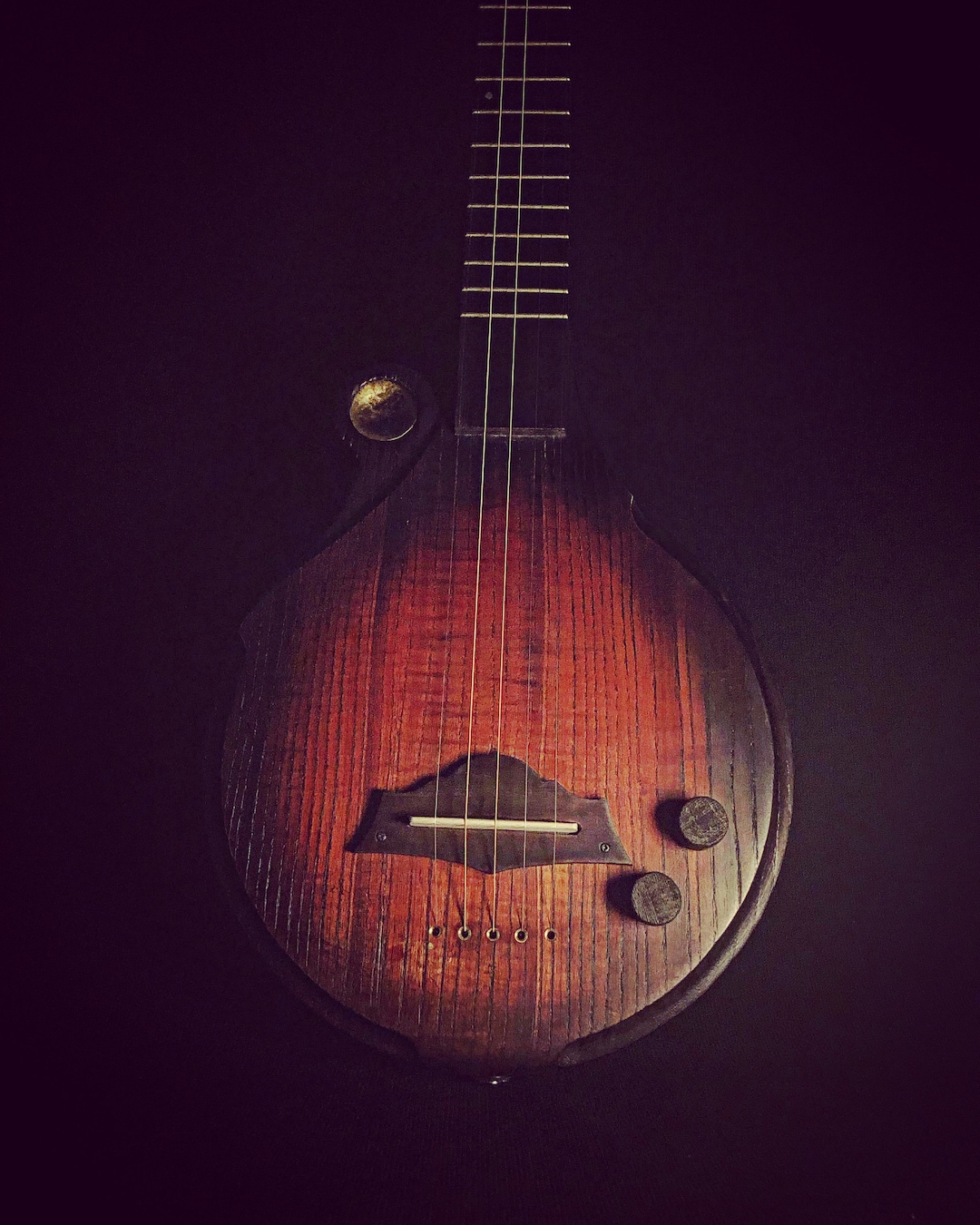 Electric Banjo. Custom Handcrafted Banjo. - Etsy