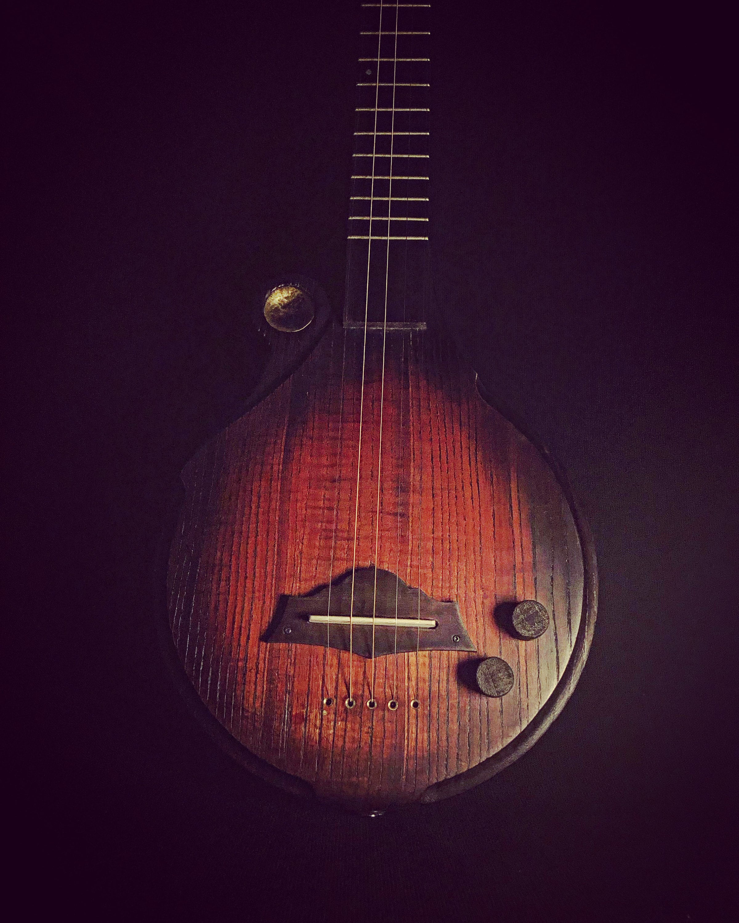 Electric Banjo. Custom Handcrafted Banjo. - Etsy