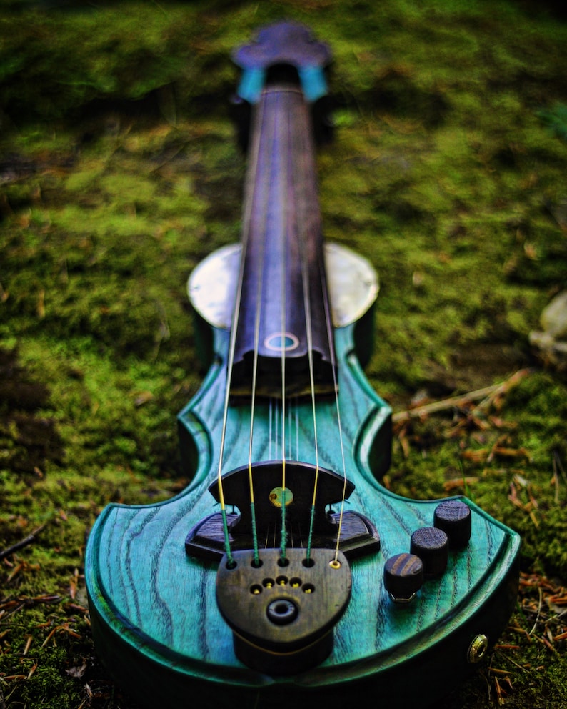Electric Cello With Sympathetic Strings/ 5-string Custom Cello/ - Etsy