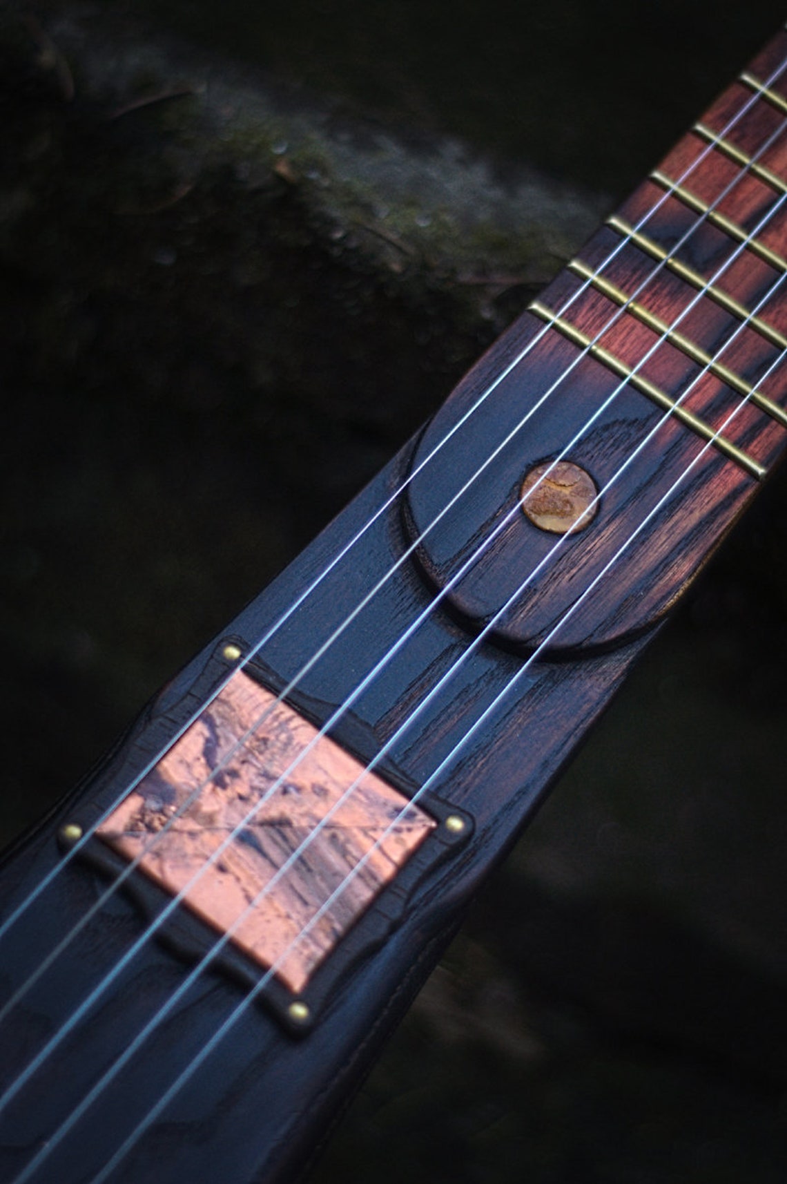 Electric 5-string Banjo Stick. Custom Fretted Banjo. - Etsy