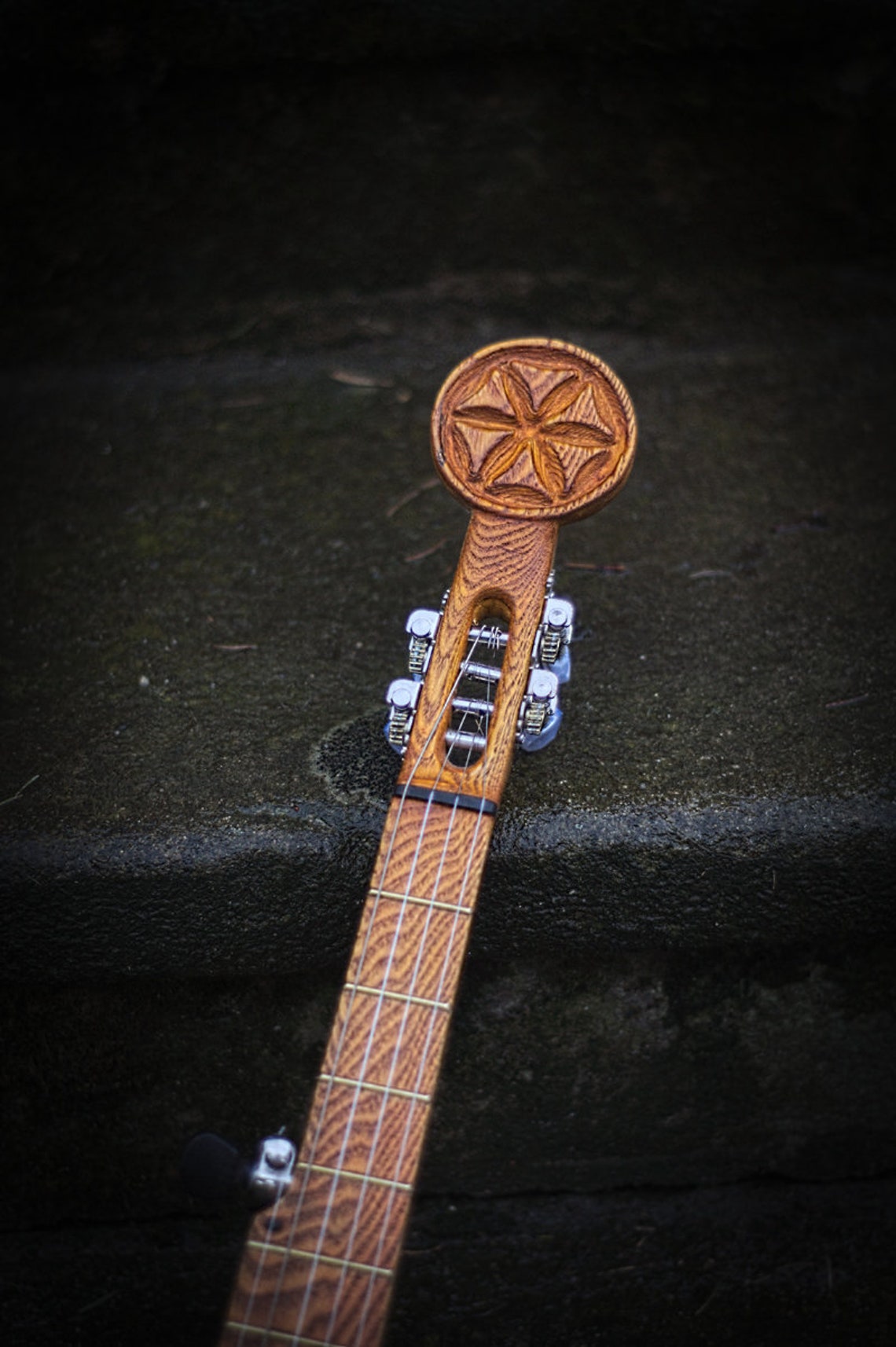 Electric 5-string Banjo Stick. Custom Fretted Banjo. - Etsy