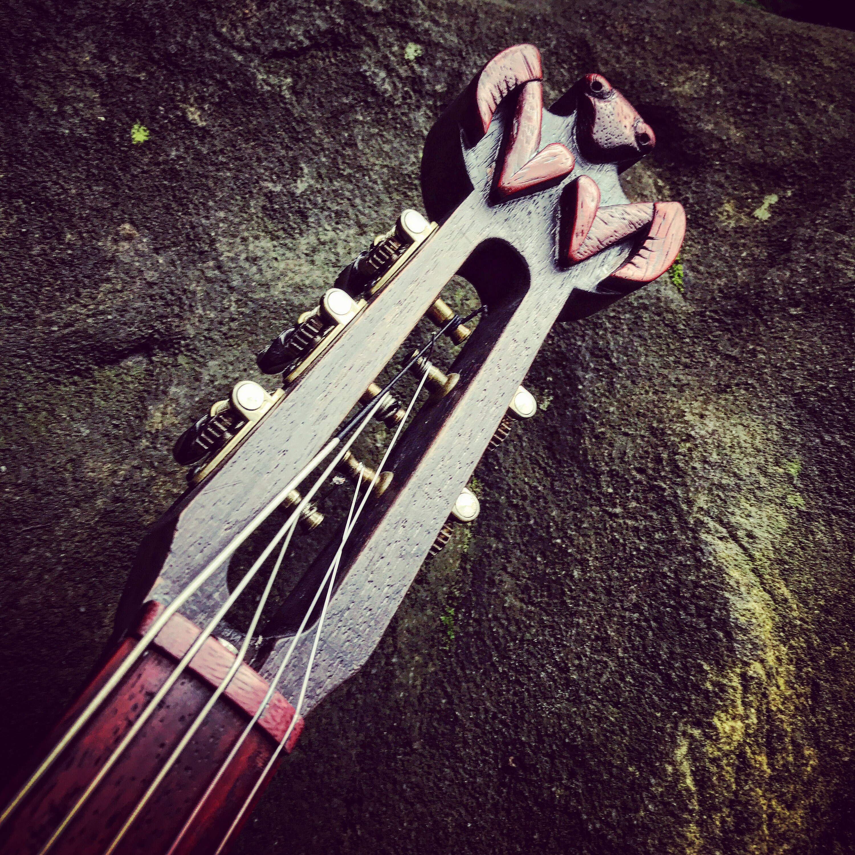 5-string Cello With a Magnetic Pickup/ Electric Cello/ Dashtick Cello ...