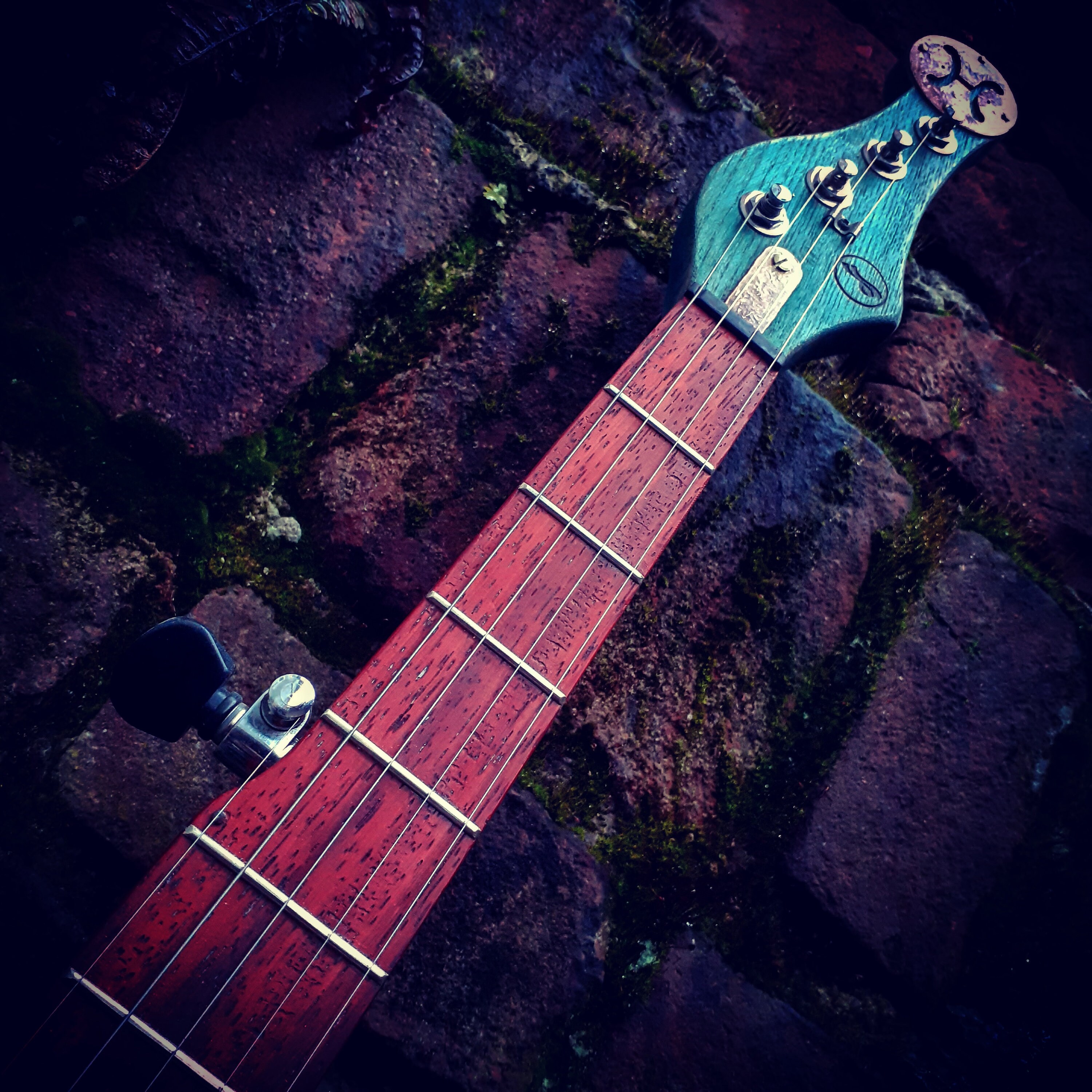 Electric Banjo. Solid Body 5 String Banjo With a Humbucker Pickup. - Etsy