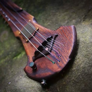 Electric Tarpan - Fretless Viola With Sympathetic Strings. - Etsy