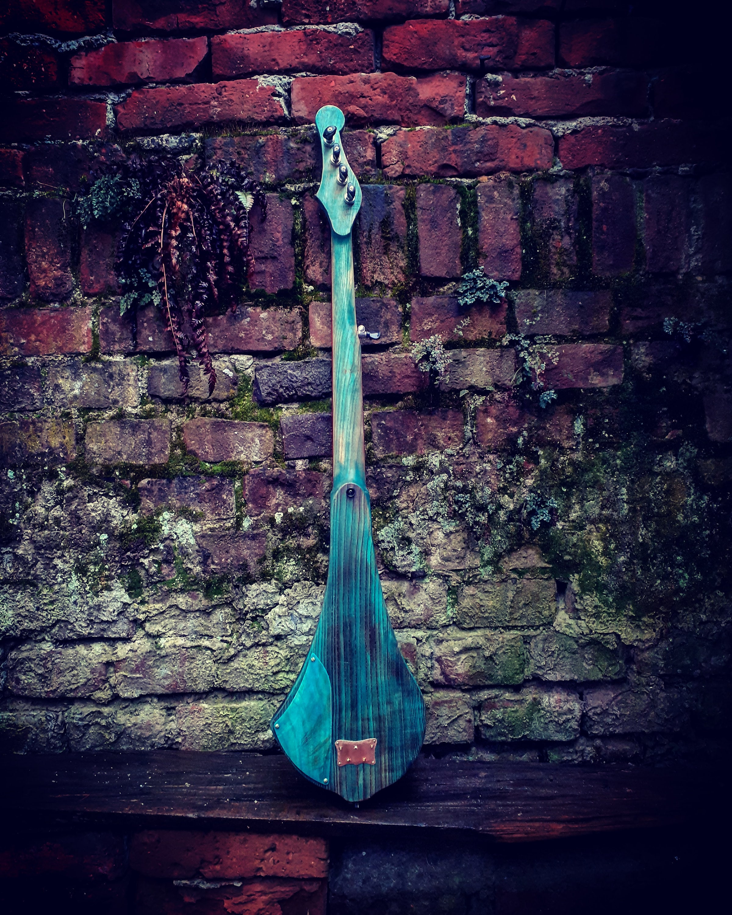 Electric Banjo. Solid Body 5 String Banjo With a Humbucker Pickup. - Etsy