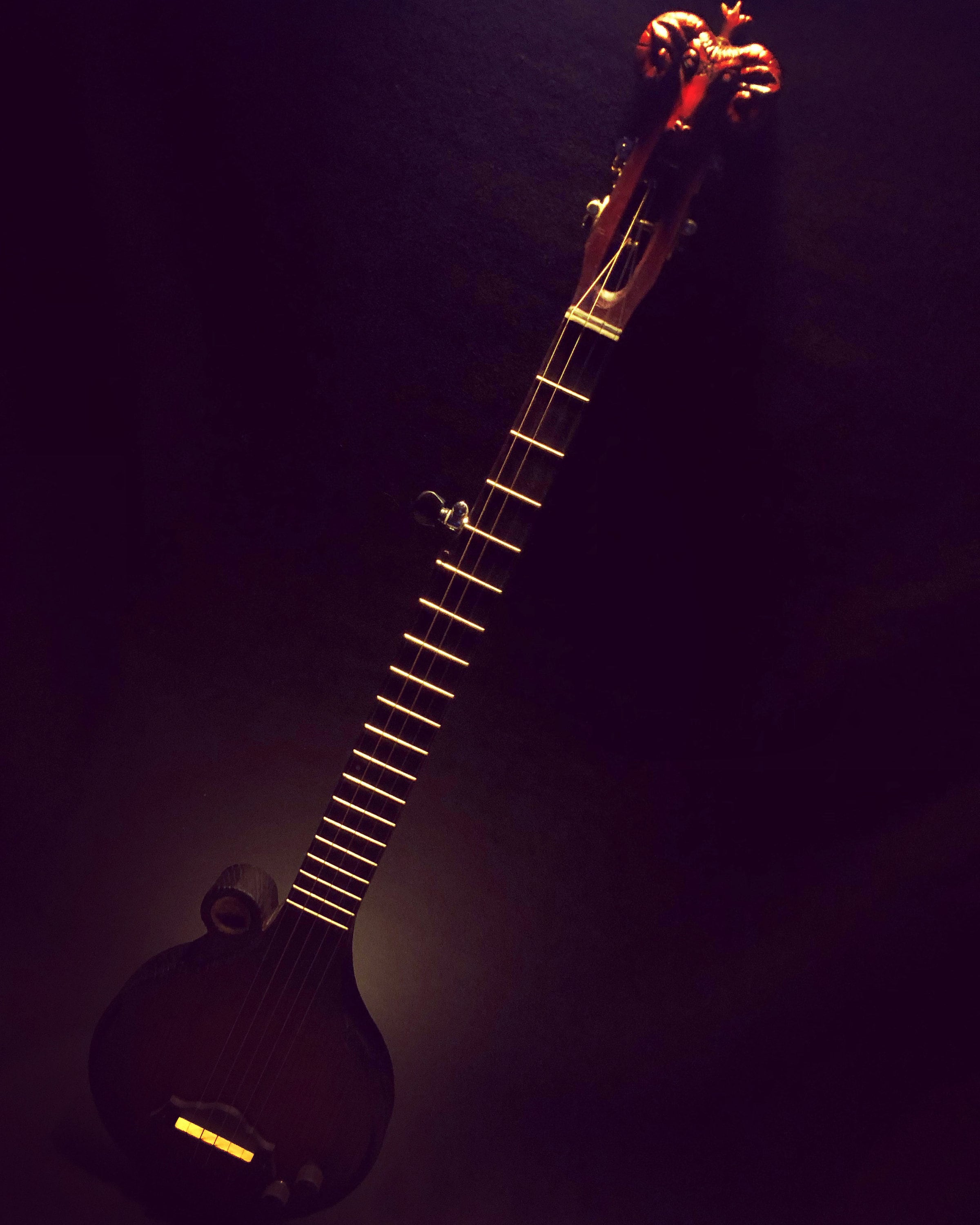 Electric Banjo. Custom Handcrafted Banjo. - Etsy