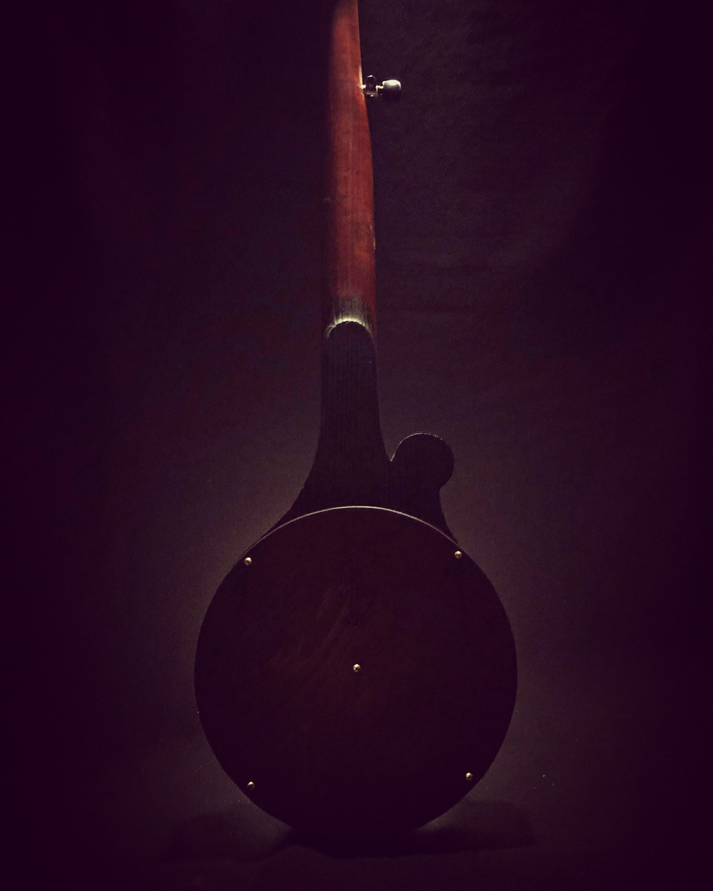 Electric Banjo. Custom Handcrafted Banjo. - Etsy