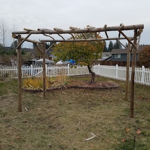 Driftwood Pergola Garden Trellis Vineyard Trellis - Etsy