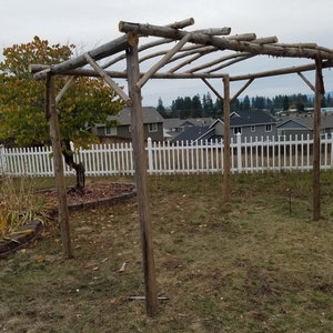 Driftwood Pergola Garden Trellis Vineyard Trellis - Etsy