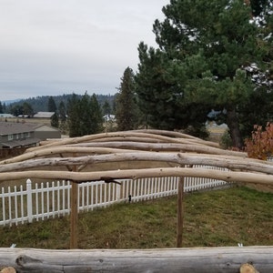 Driftwood Pergola Garden Trellis Vineyard Trellis - Etsy