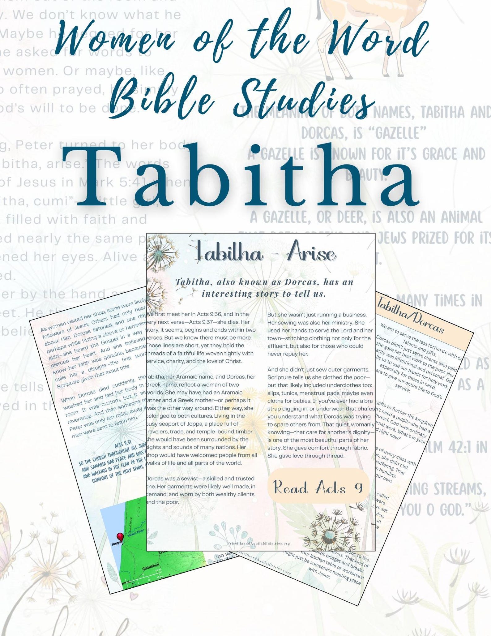 Tabitha Bible Study: Women of the Bible Character Reflection (PDF ...