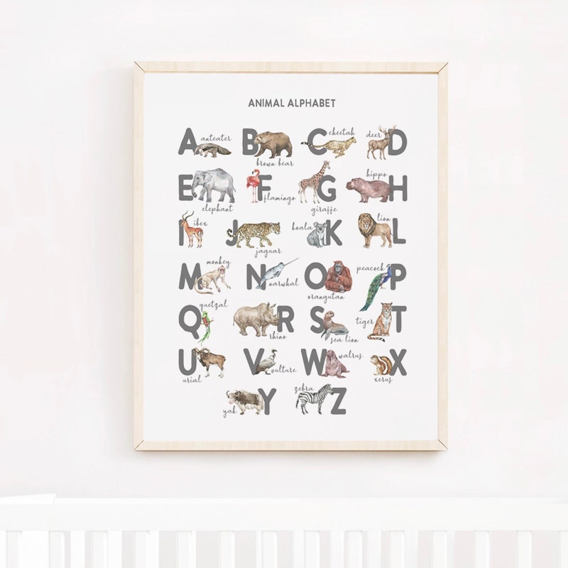 Animal Alphabet - Etsy