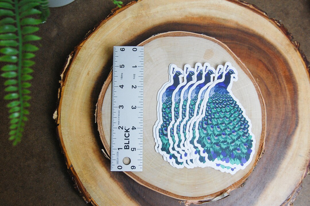 Illustrated Peacock Sticker - Etsy