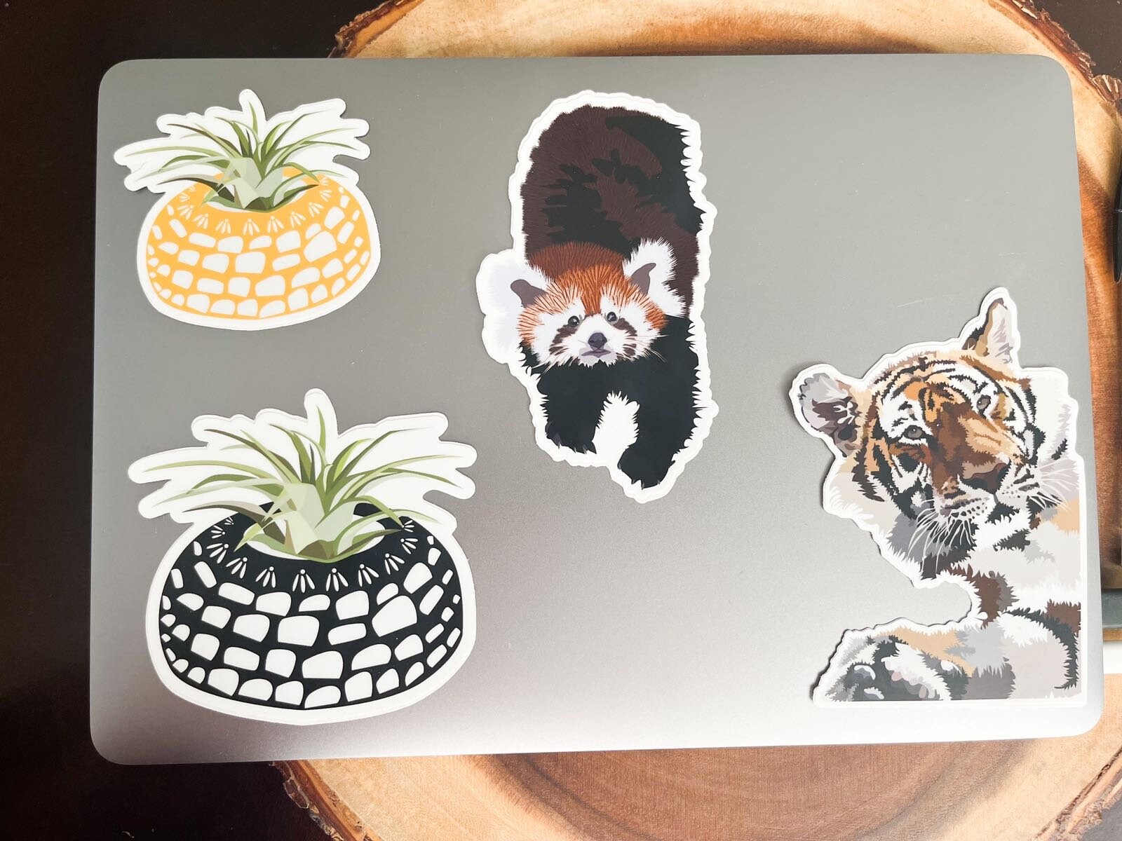 Illustrated Lion Sticker - Etsy
