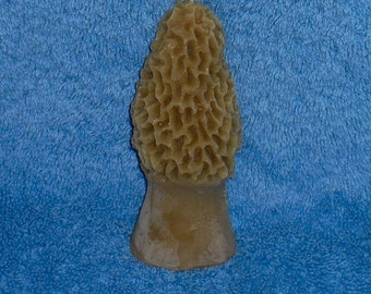 Mini Morel Mushroom Candle - Etsy