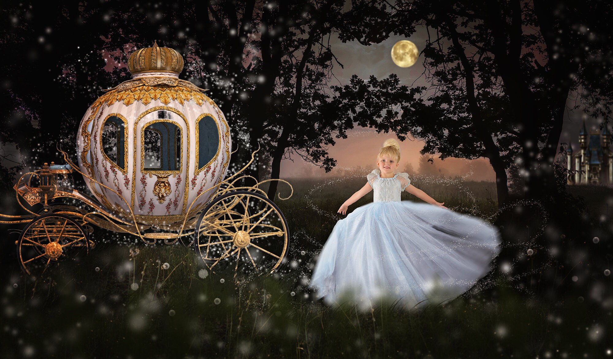 Cinderella Princess Digital Backdrop - Etsy