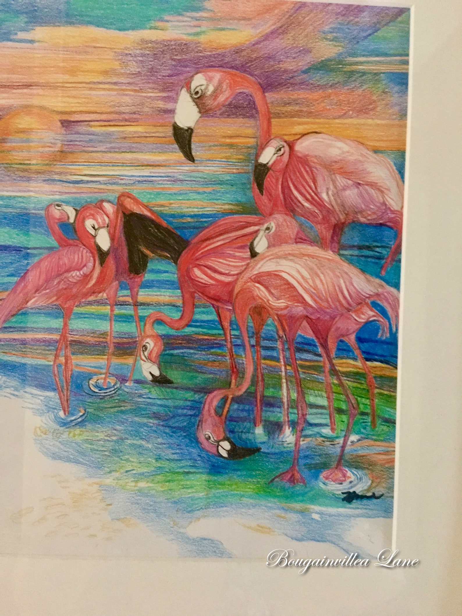 Flamingo Beach Colored Pencil Drawing by Nancy Mcintyre - Etsy