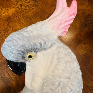 Crown Staffordshire Fine Bone China COCKATOO Designed by J. T. Jones ...