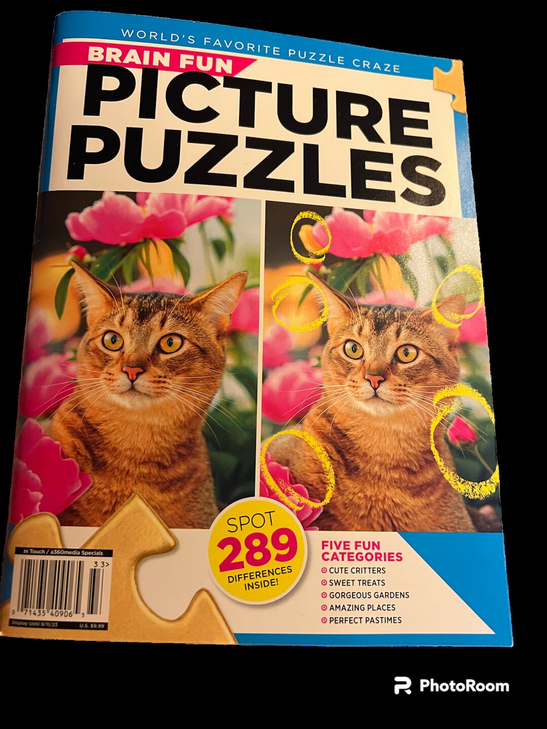 Brain Fun Picture Puzzles Magazine - Etsy