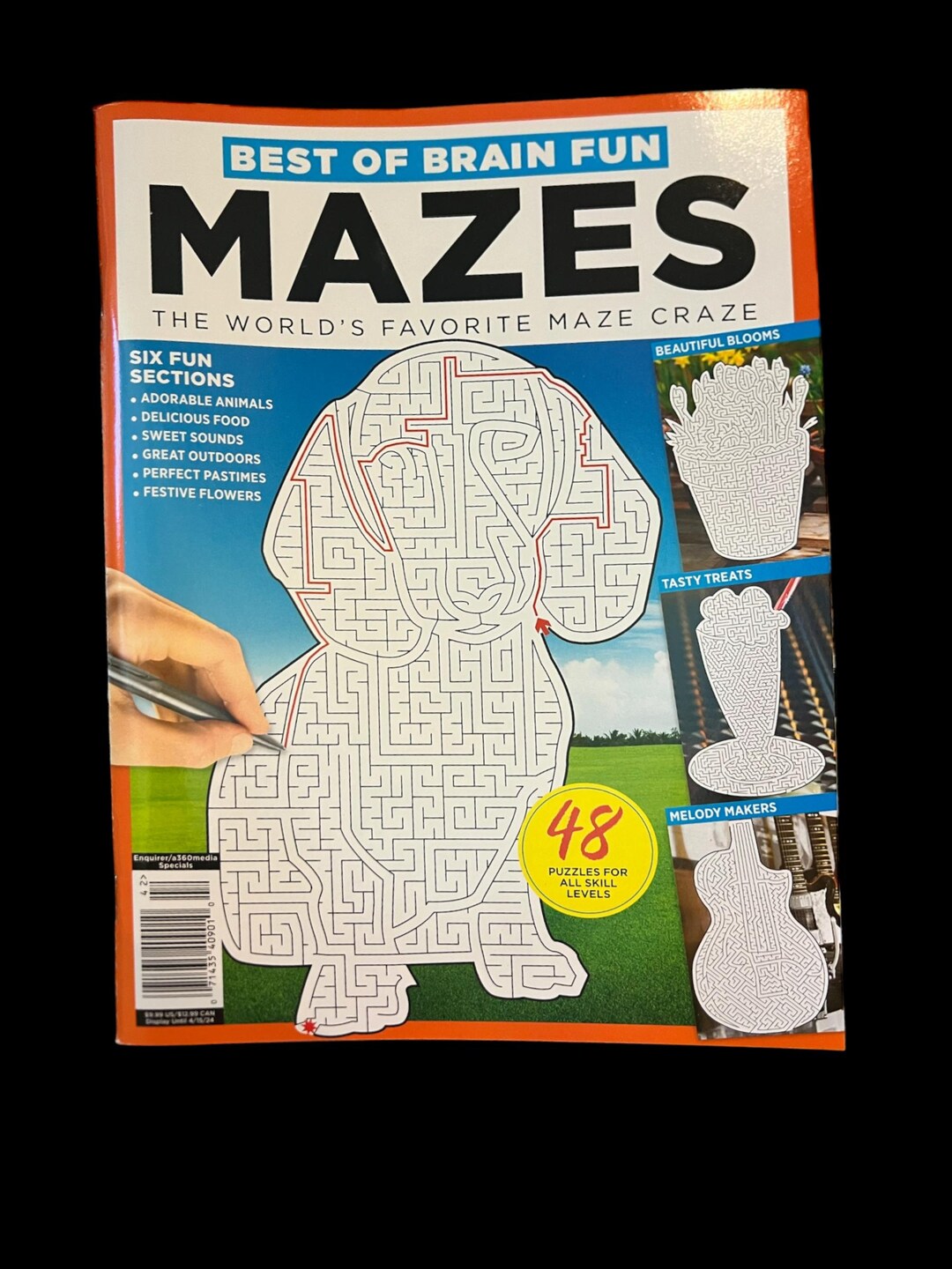 Best of Brain Fun Mazes Magazine-puppy - Etsy