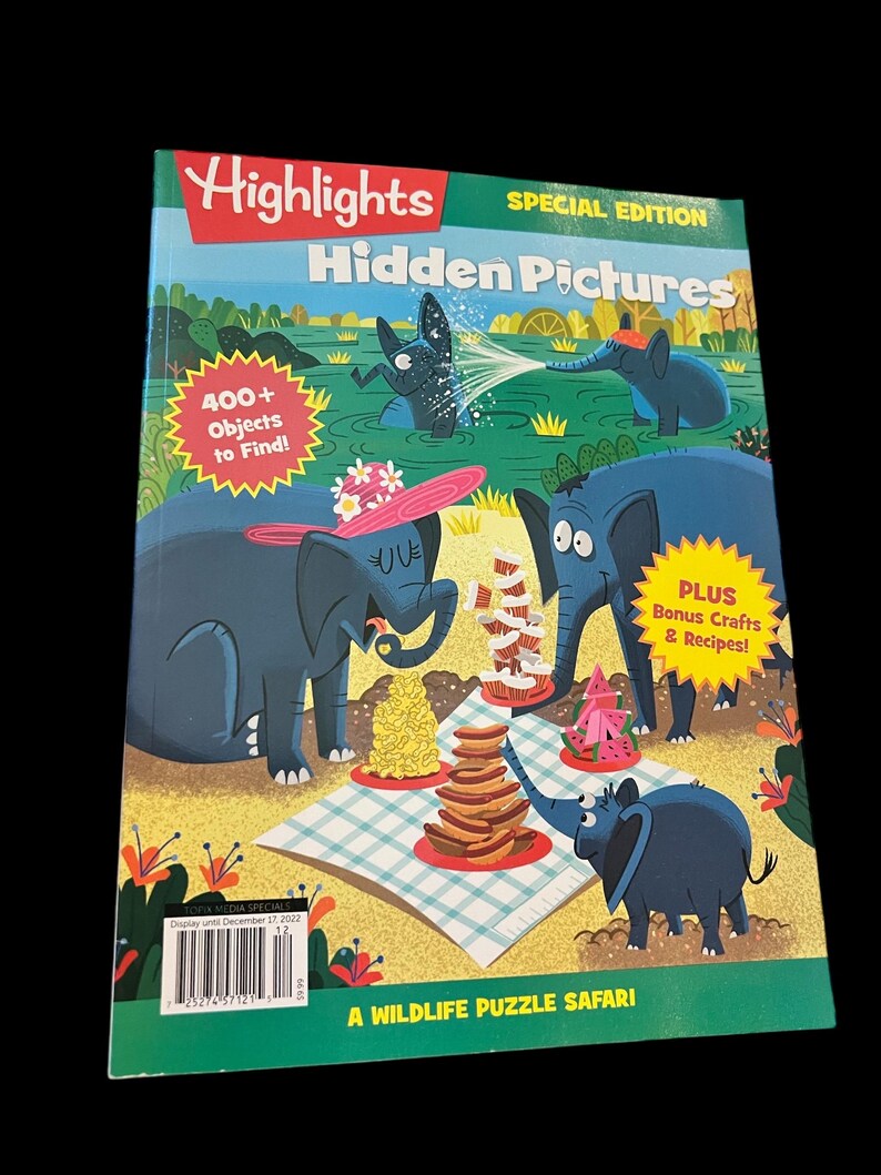 Highlights Hidden Pictures Magazine - Etsy