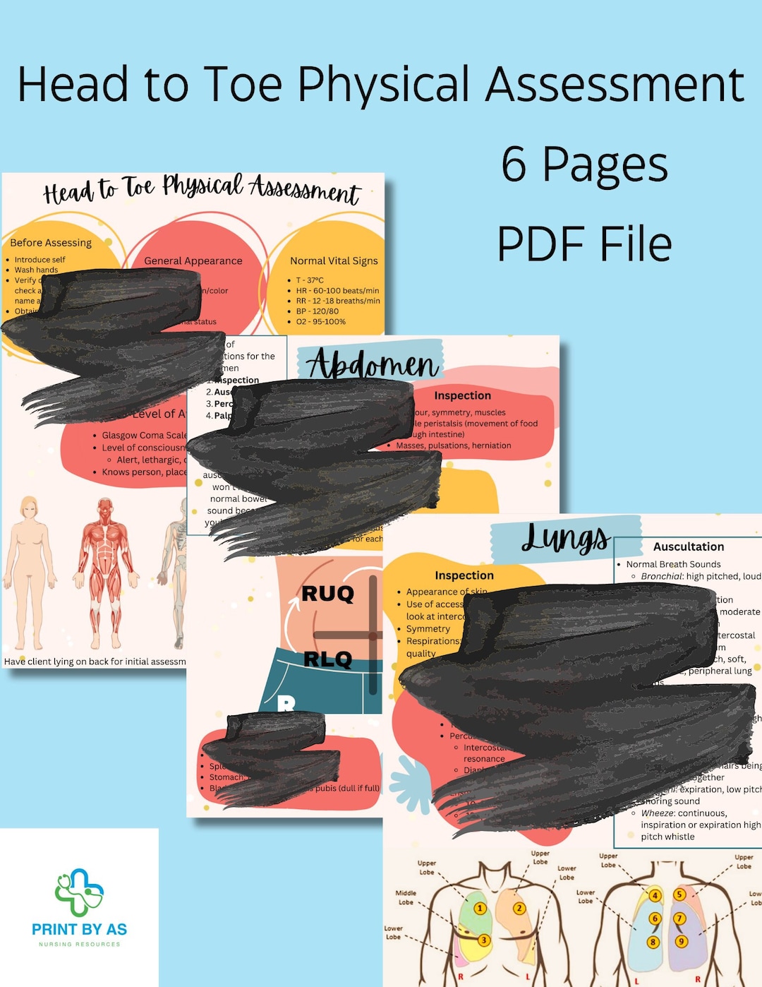 Physical Assessment Nursing Study Notes, Head to Toe Assessment ...