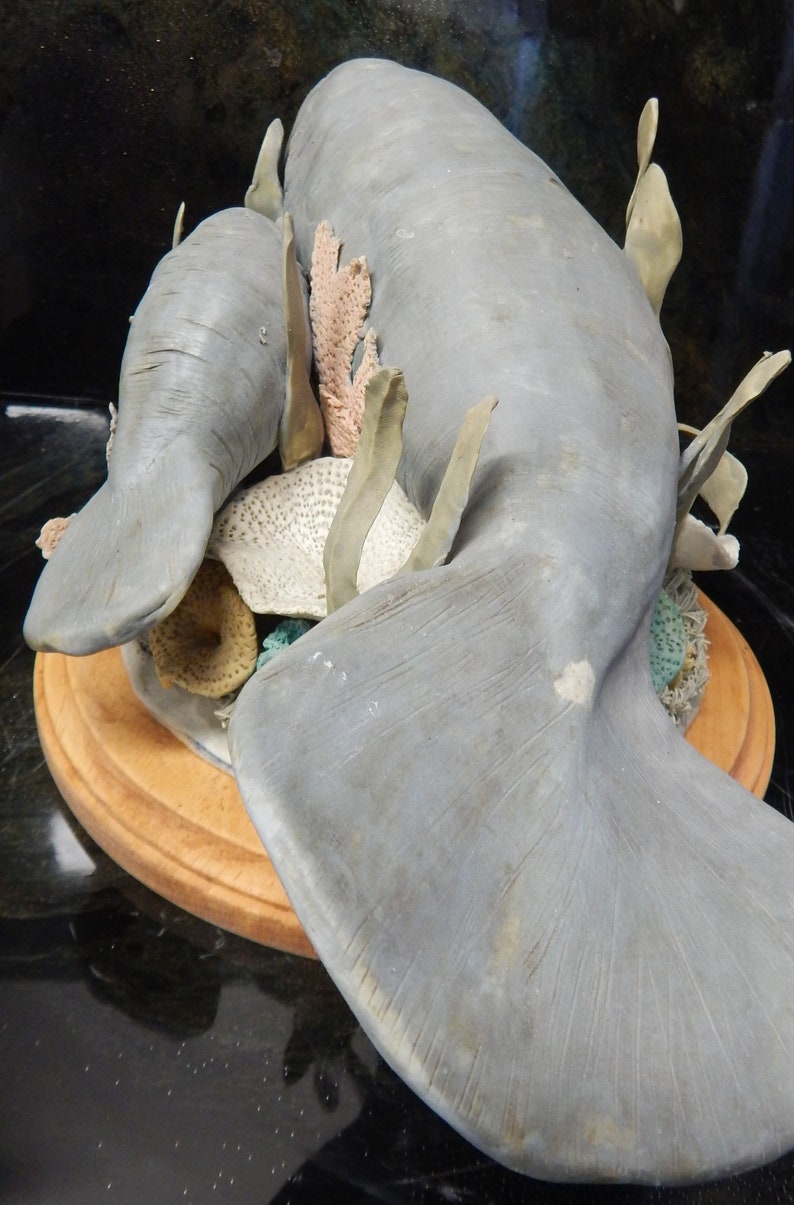 Manatee & Pup - Etsy