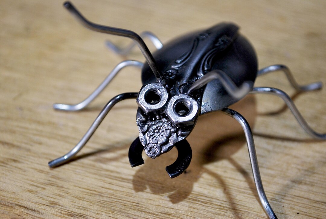 Fancy Spoon Beetle 2 - Etsy