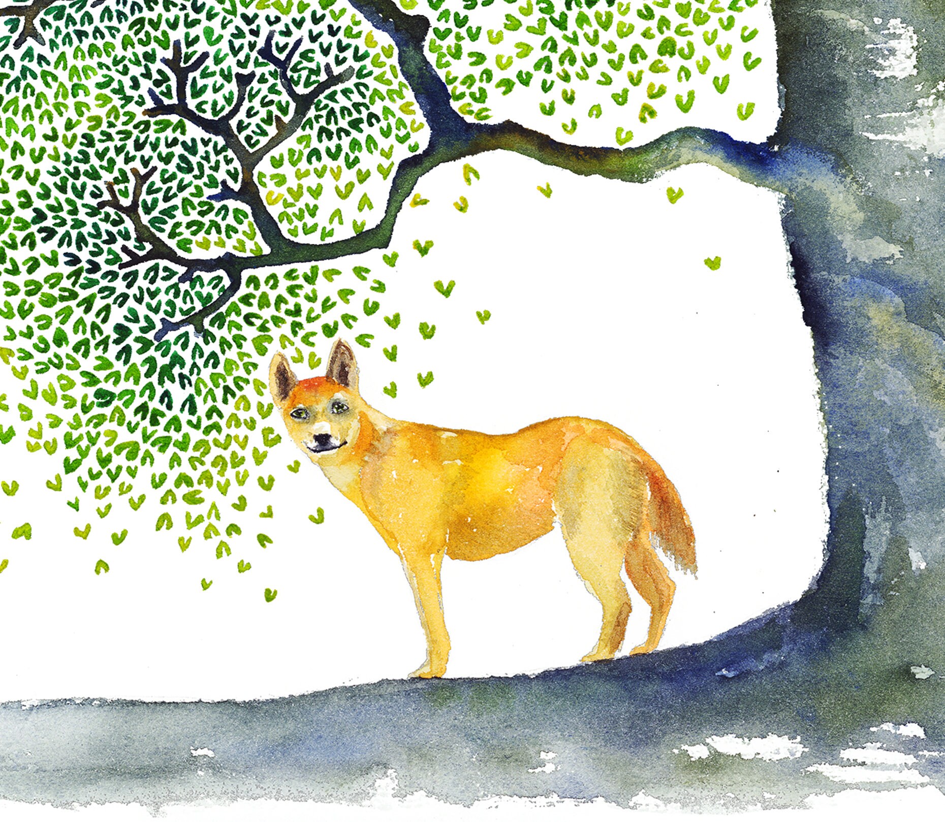 Dingo Tree A2 Giclee Print on Rag Paper | Etsy Australia