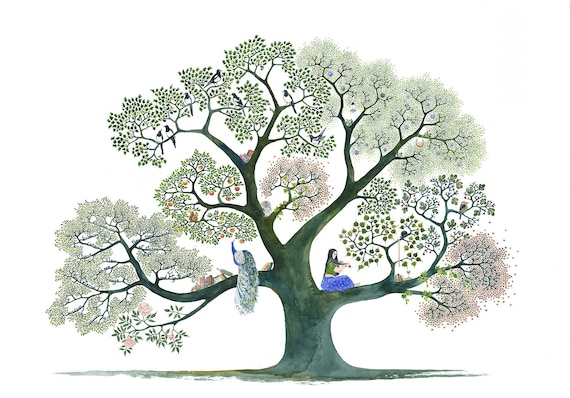Healing Tree New York Native Trees | SUGi