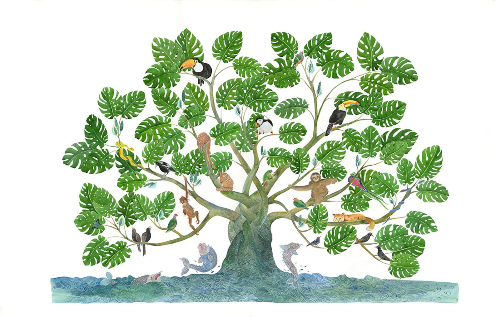 Darwin Tree - Etsy Australia