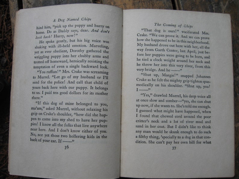1930's Dog Named Chips Children's Book Albert Terhune - Pet Animal ...