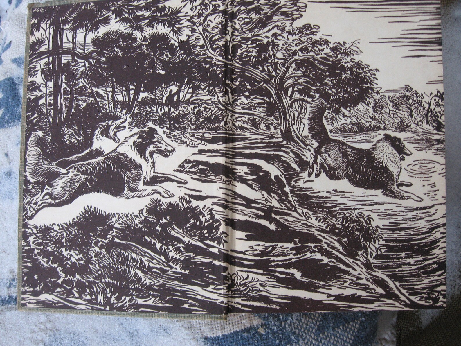1930's Dog Named Chips Children's Book Albert Terhune - Pet Animal ...