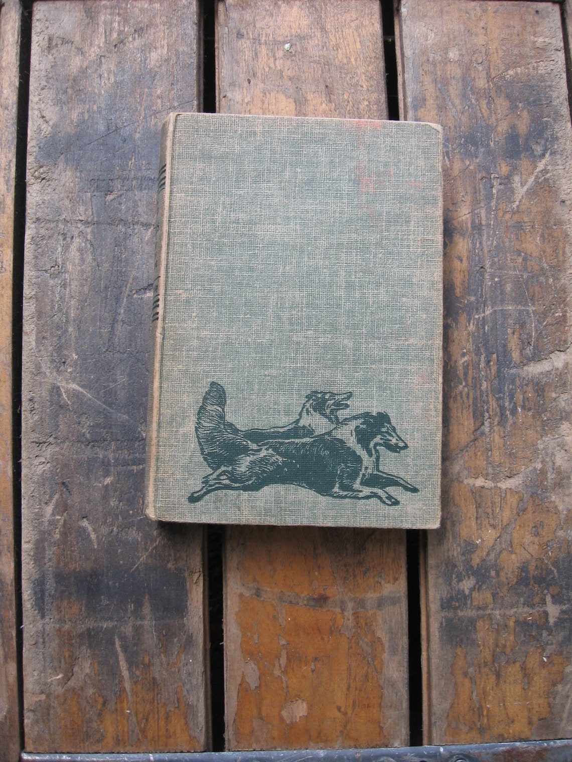 1930's Dog Named Chips Children's Book Albert Terhune - Pet Animal ...