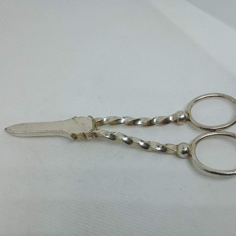 Grape Scissors - Etsy