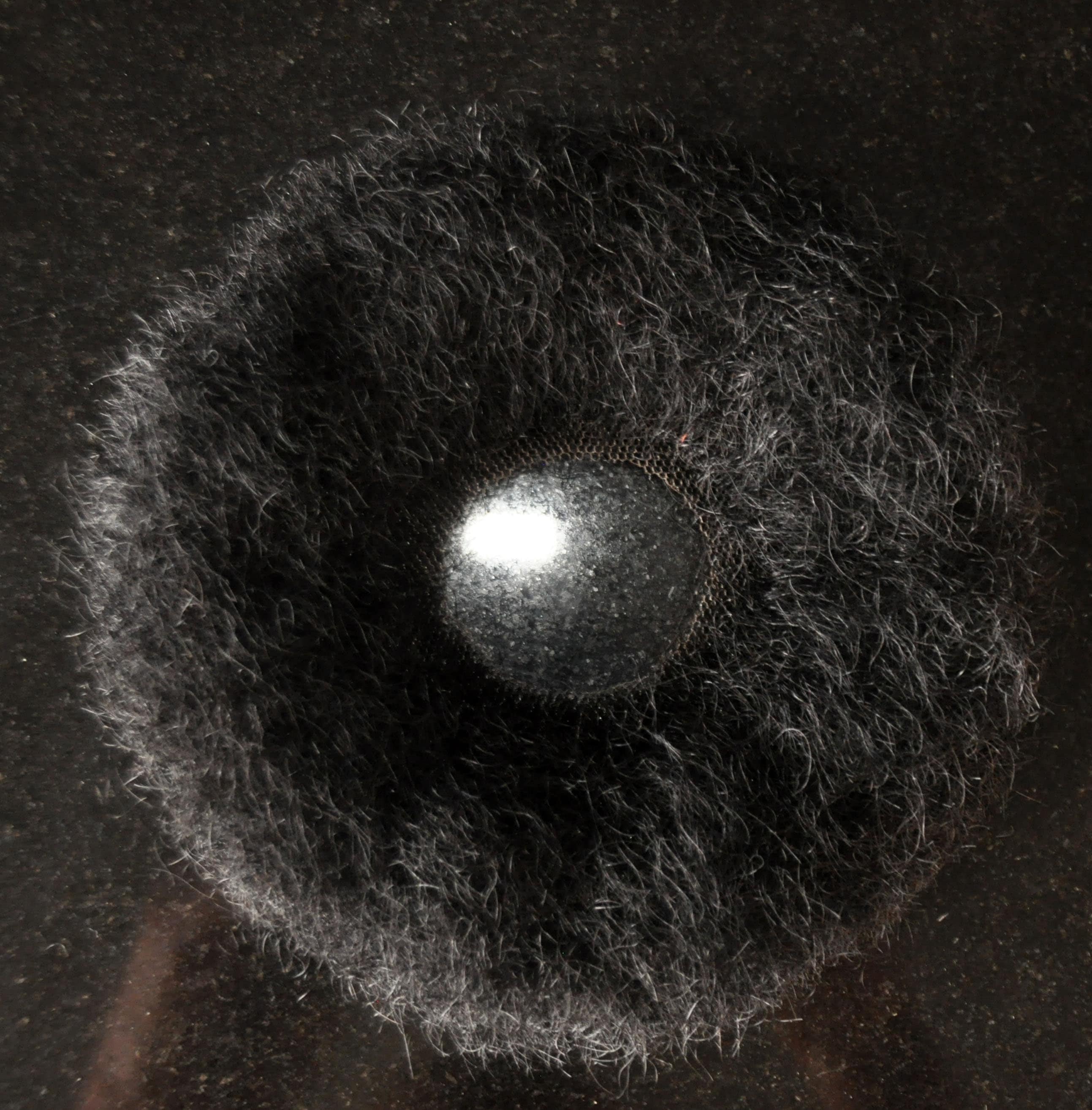 Female to Male, (FTM) Human Hair Merkin Female Male Pubic Toupee in ...