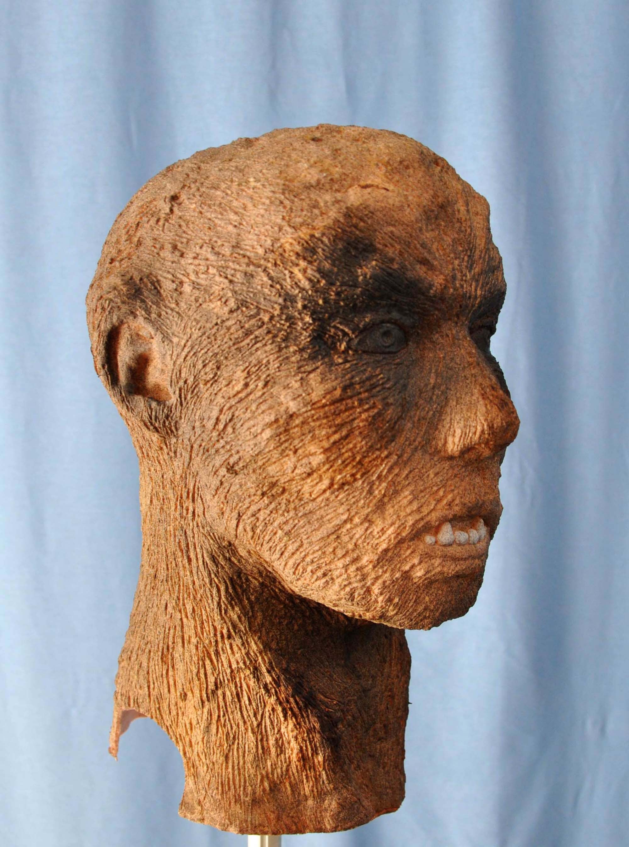 Wolfman Mask Wolfie Werewolf Mask Scary Latex Mask Cosplay Halloween ...