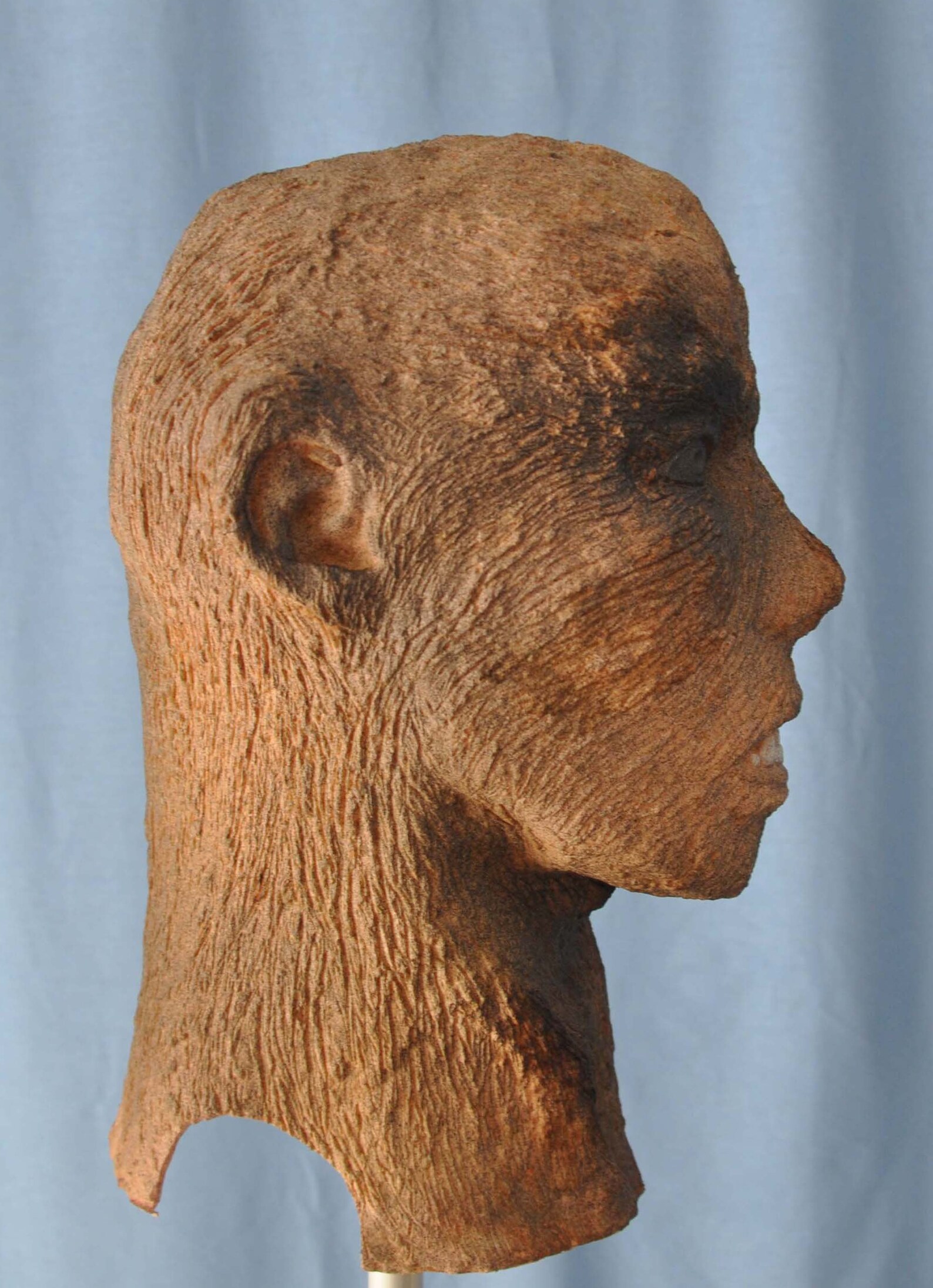 Wolfman Mask Wolfie Werewolf Mask Scary Latex Mask Cosplay Halloween ...