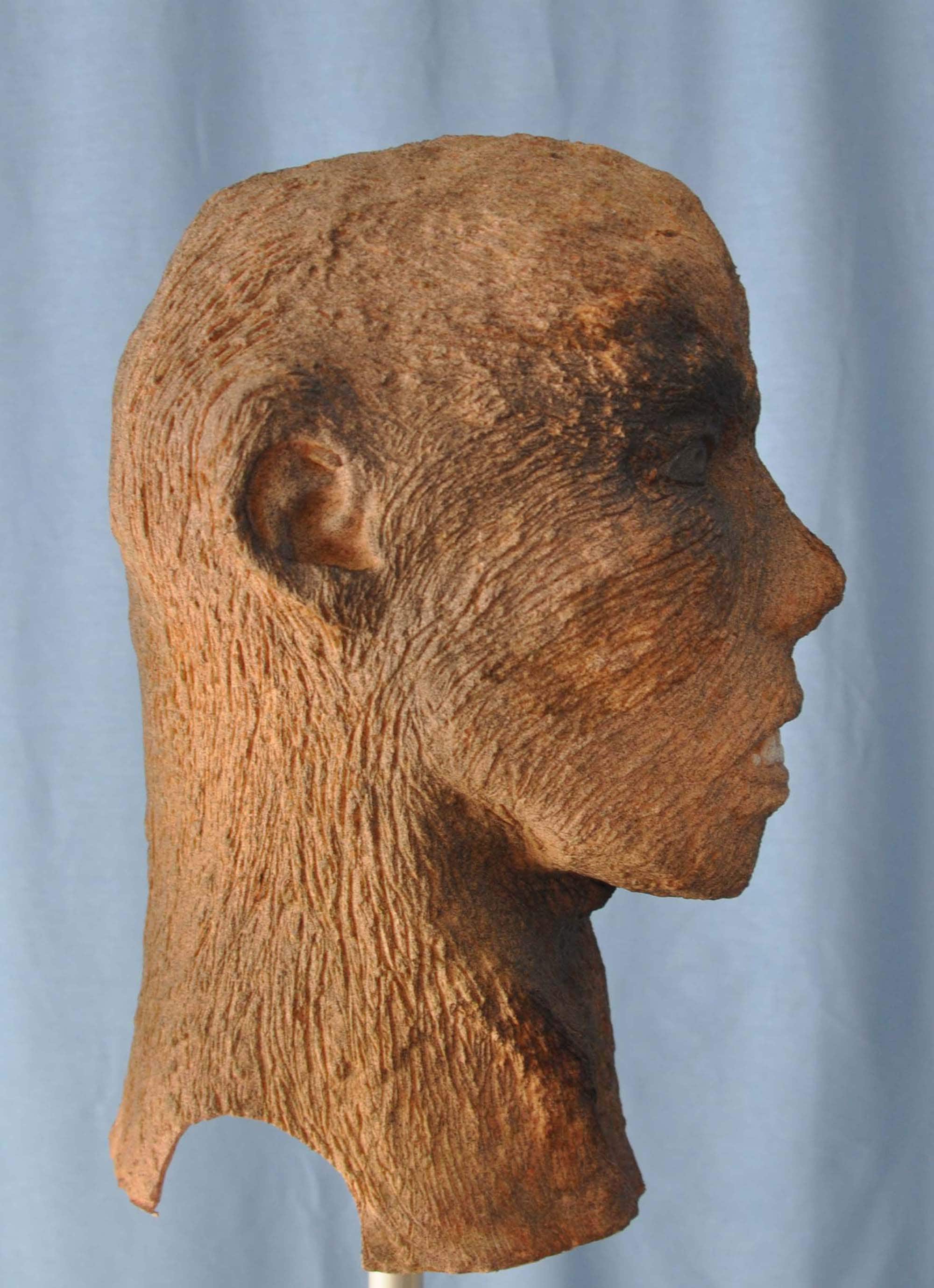 Wolfman Mask Wolfie Werewolf Mask Scary Latex Mask Cosplay Halloween ...