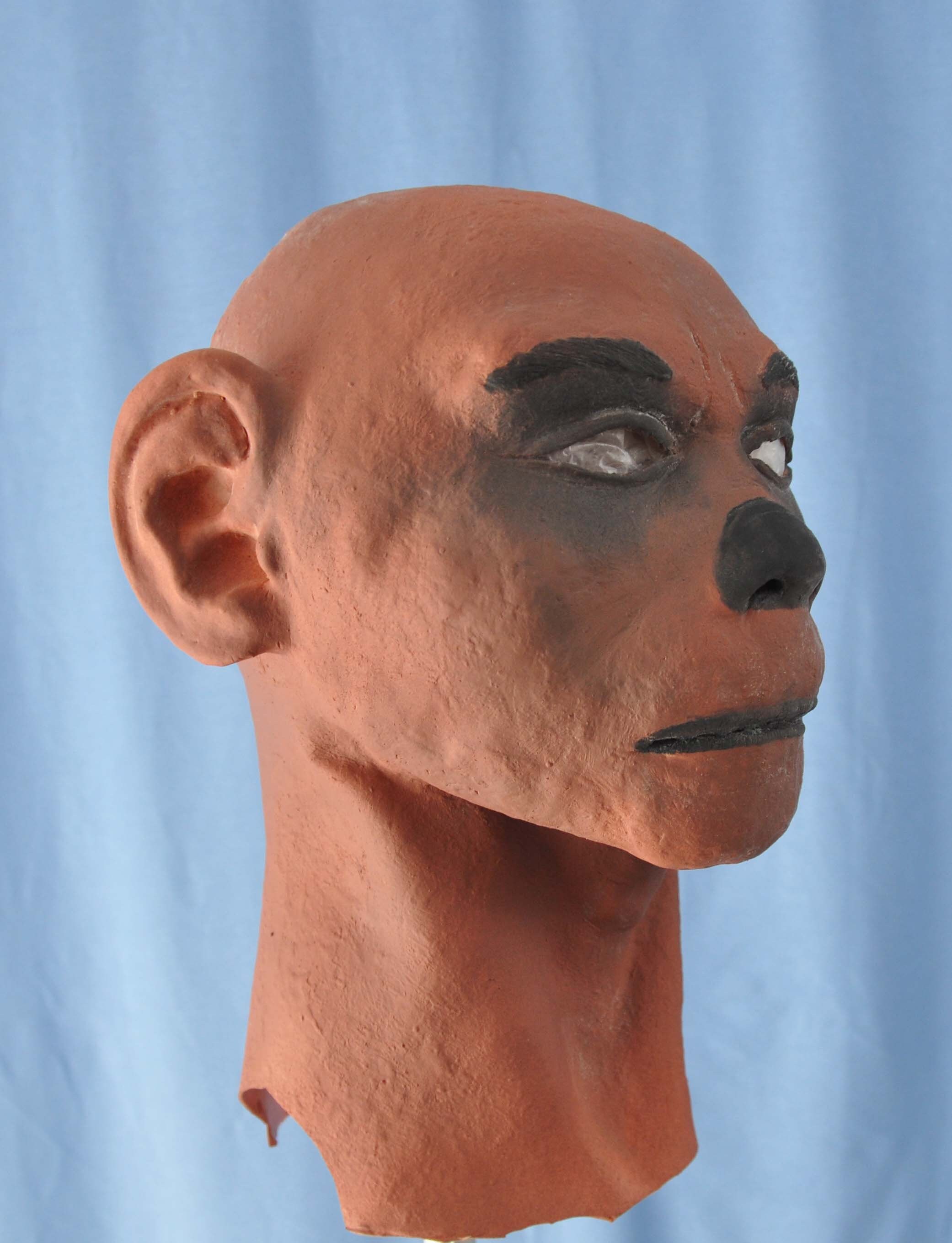 Apeman Mask Apeman Foam Latex Mask Cosplay Halloween Masks Made in ...
