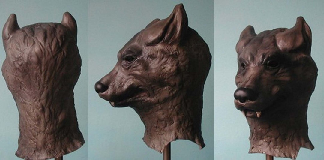 Wolf Mask Foam Latex Cosplay Halloween Masks Who's Afraid of Big Bad ...